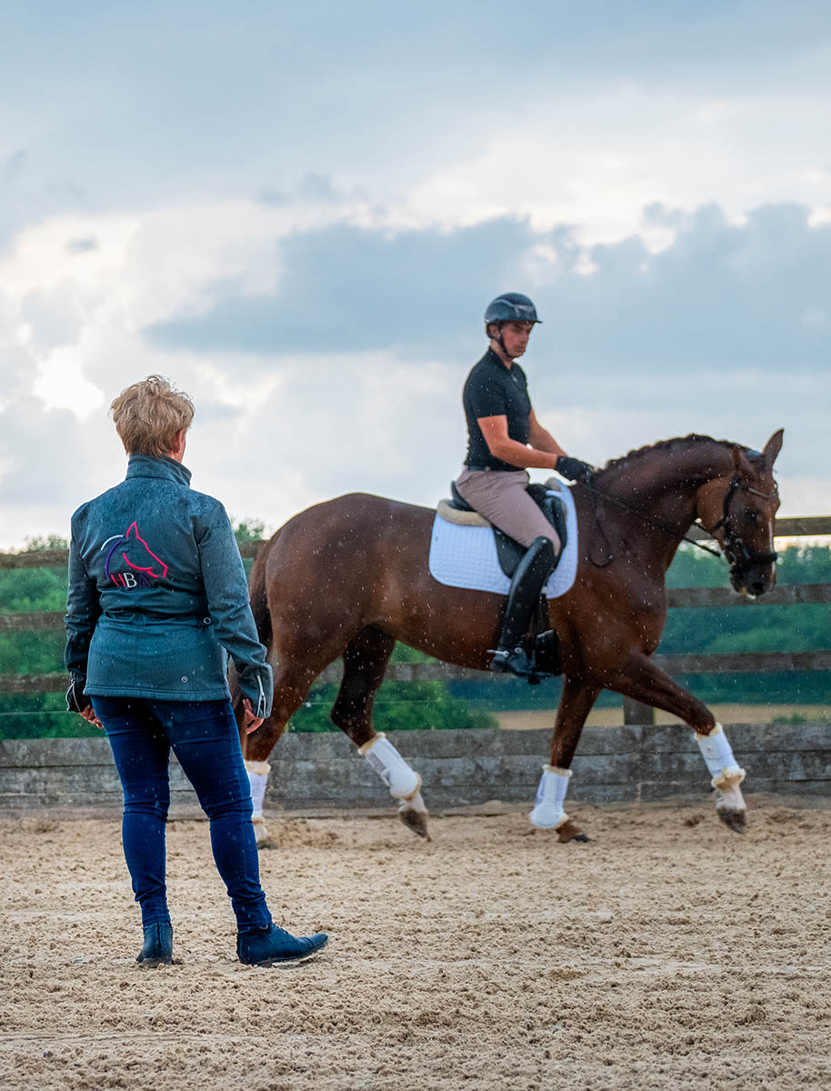 About Horse Bit Advice - Learn the HBA story here.
