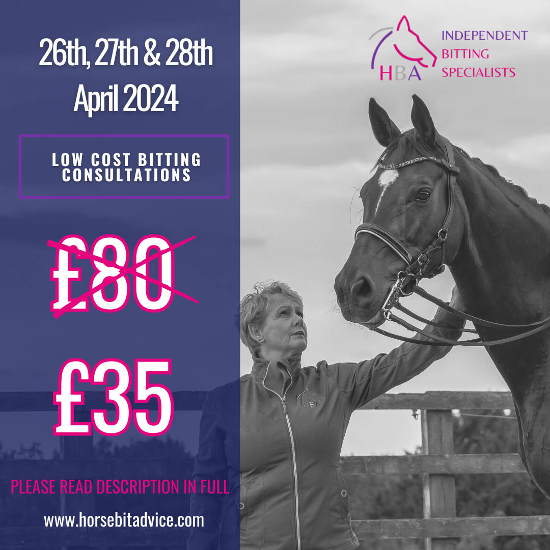 Horse Bitting Clinics in the UK - Gill Batt Horse Bitting Expert