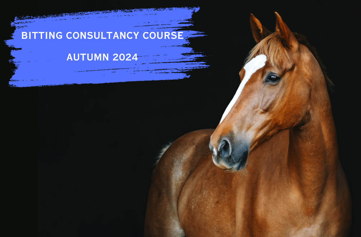 Shop - Horse Bit Advice